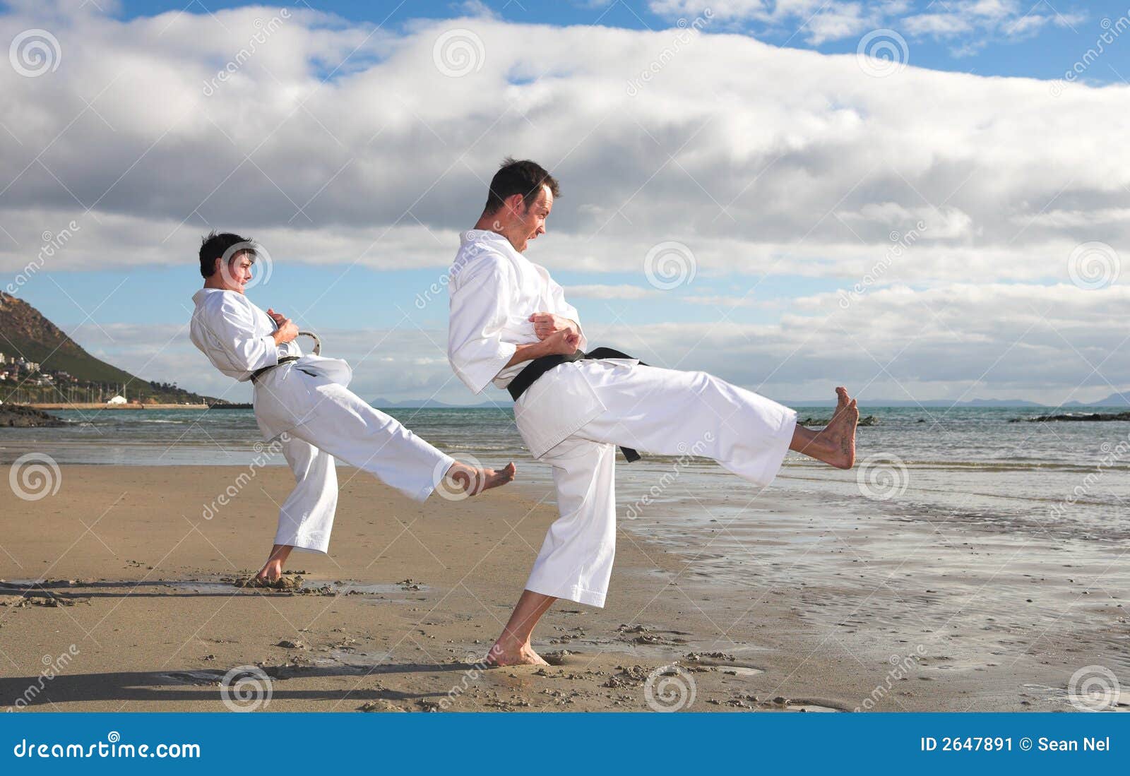 Men practicing Karate stock image. Image of practice, sport - 2647891