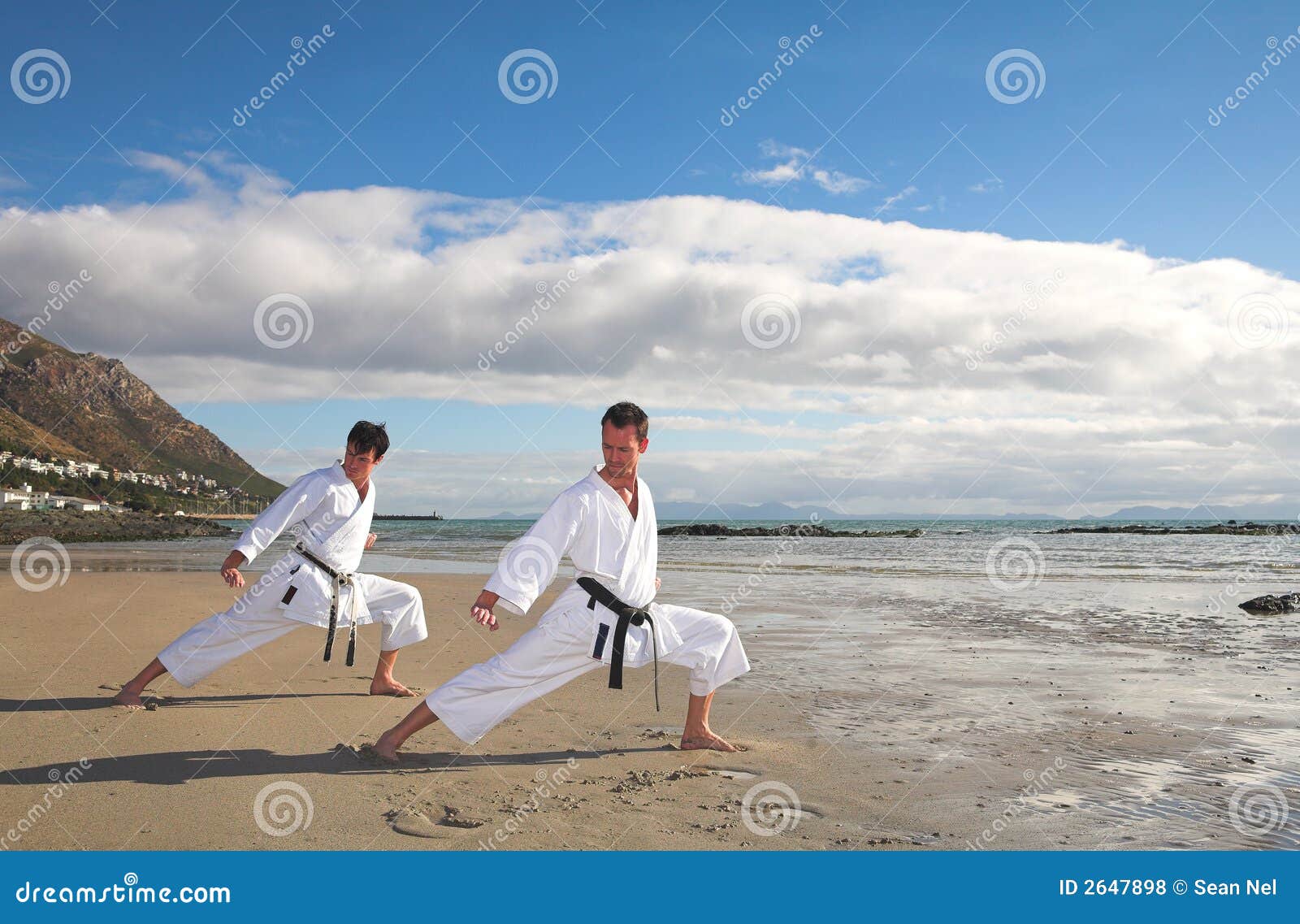 Men practicing Karate stock photo. Image of kata, black - 2647898