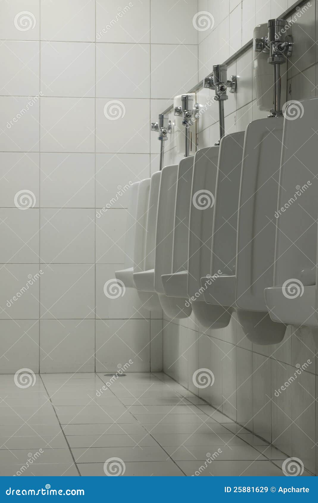 Men restroom. stock image. Image of lavatory, toilet - 25881629