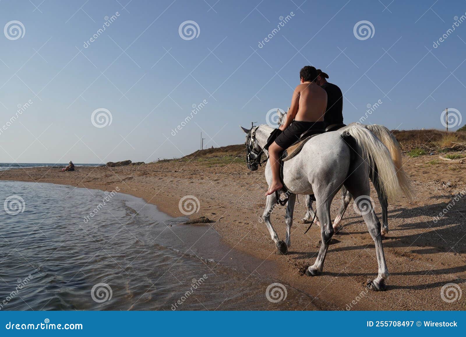 Men Riding White Horses at the Beach Stock Image - Image of male ...