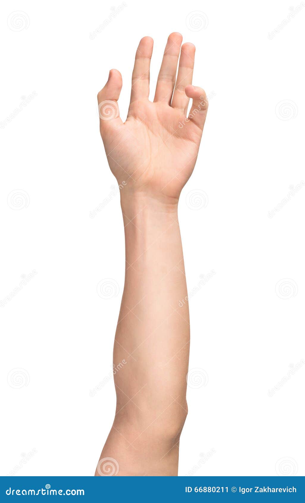 Men s elongated hand on stock image. Image of advertising - 66880211