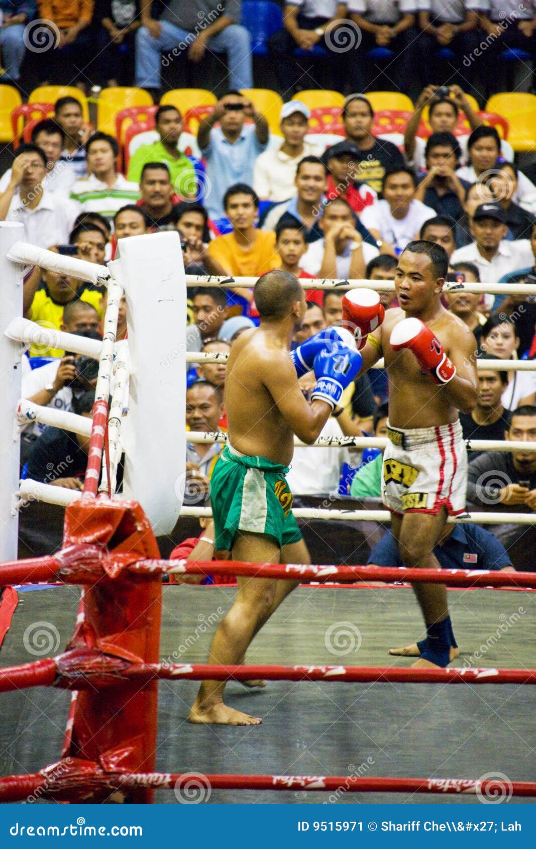 Men s Kick Boxing Action editorial photo. Image of stadium - 9515971