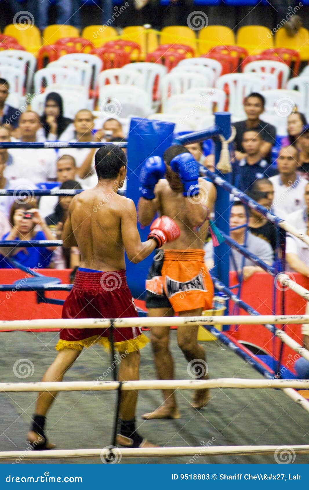 Men s Kick Boxing Action editorial stock photo. Image of sport - 9518803
