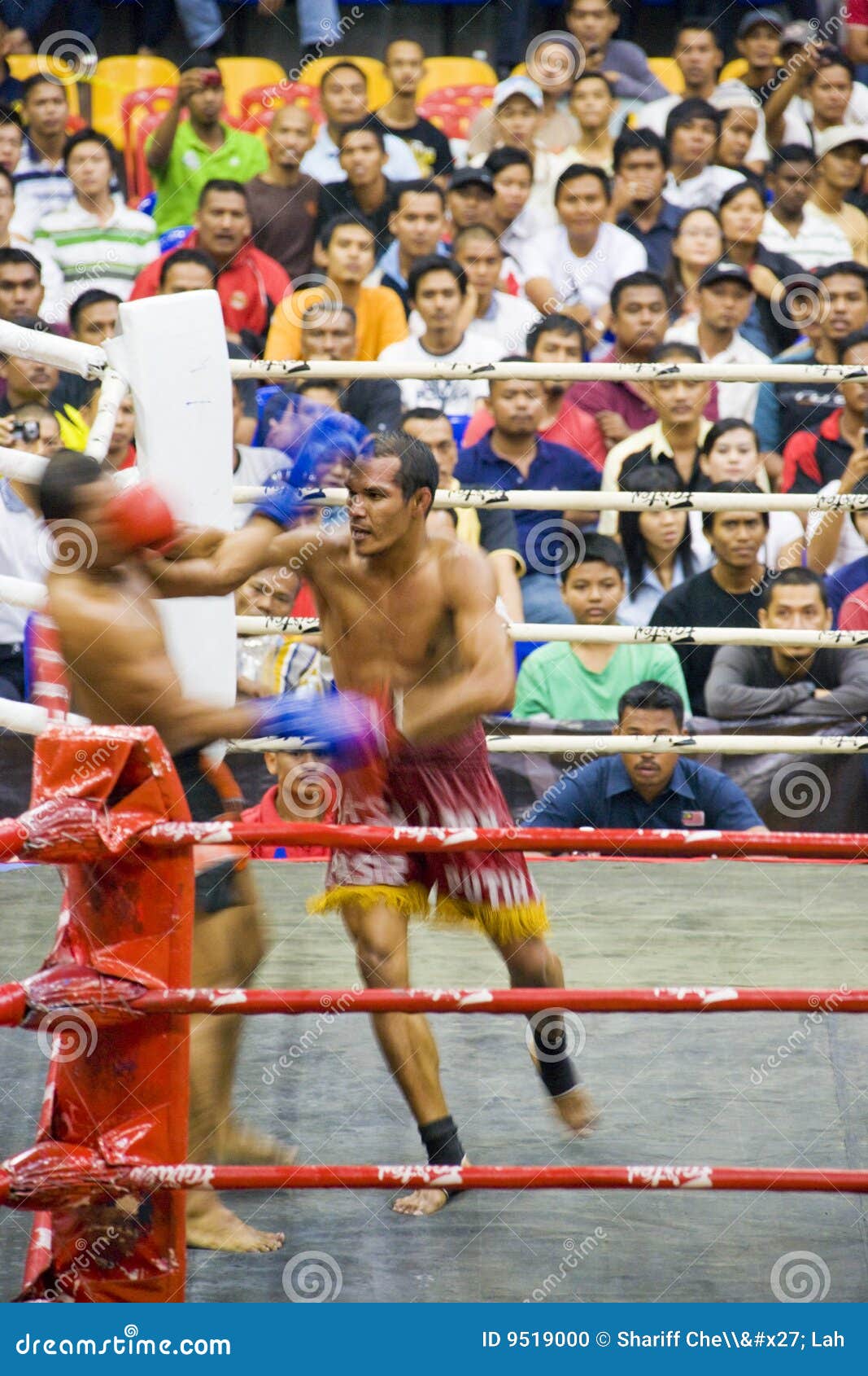 Men S Kick Boxing Action (Blurred) Editorial Image - Image of ...