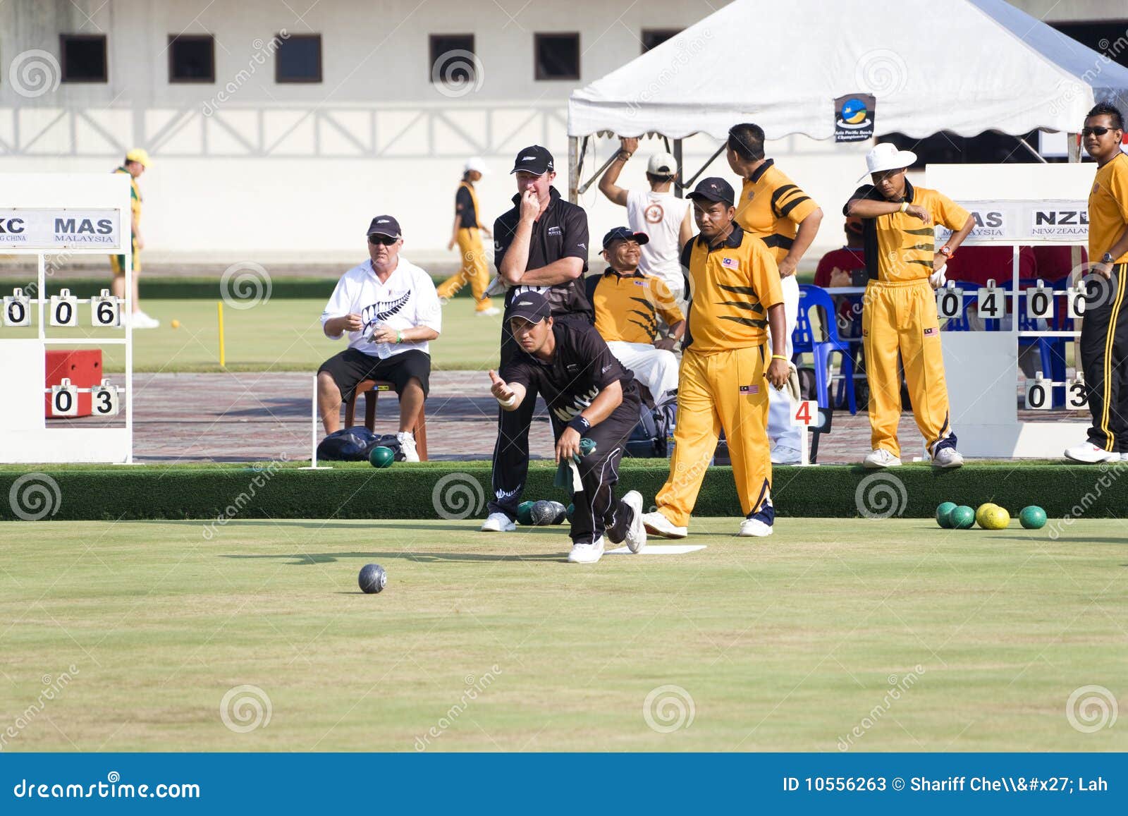 Men s Lawn Bowl Action editorial stock photo. Image of sports - 10556263