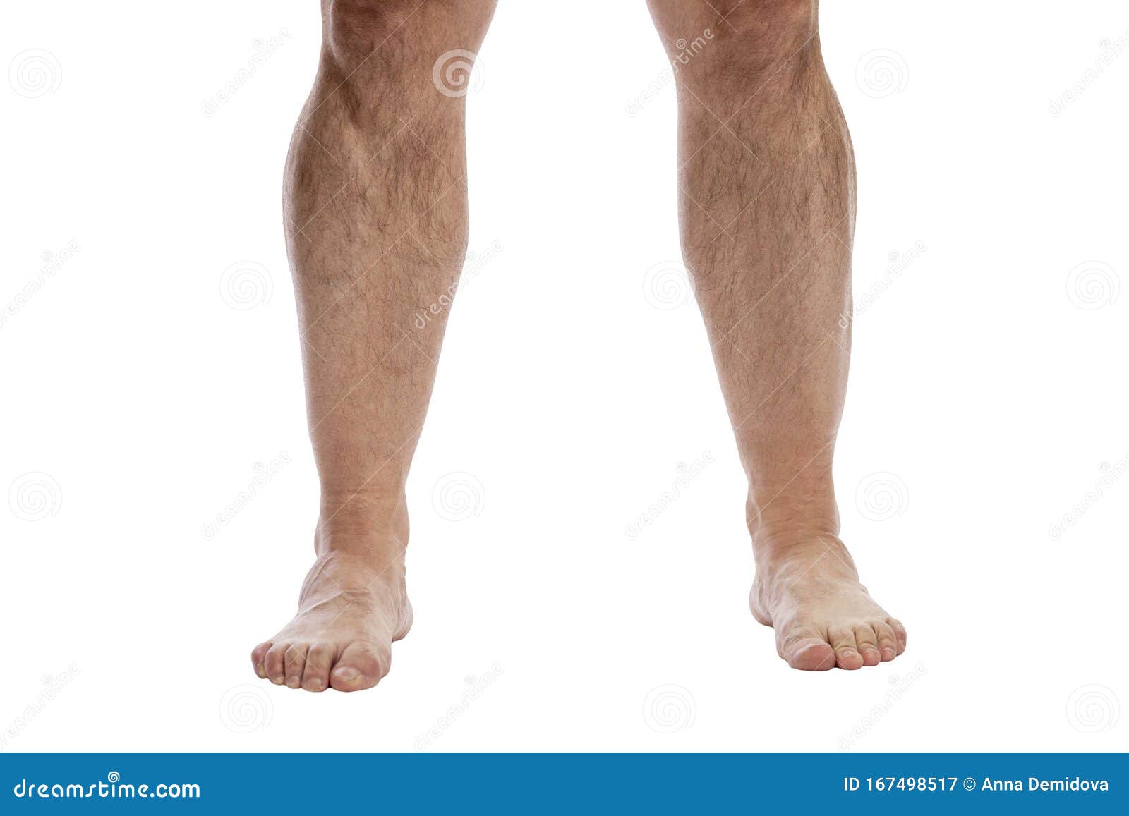 Men`s Legs To the Knees. Front View. Isolated Over White Background ...