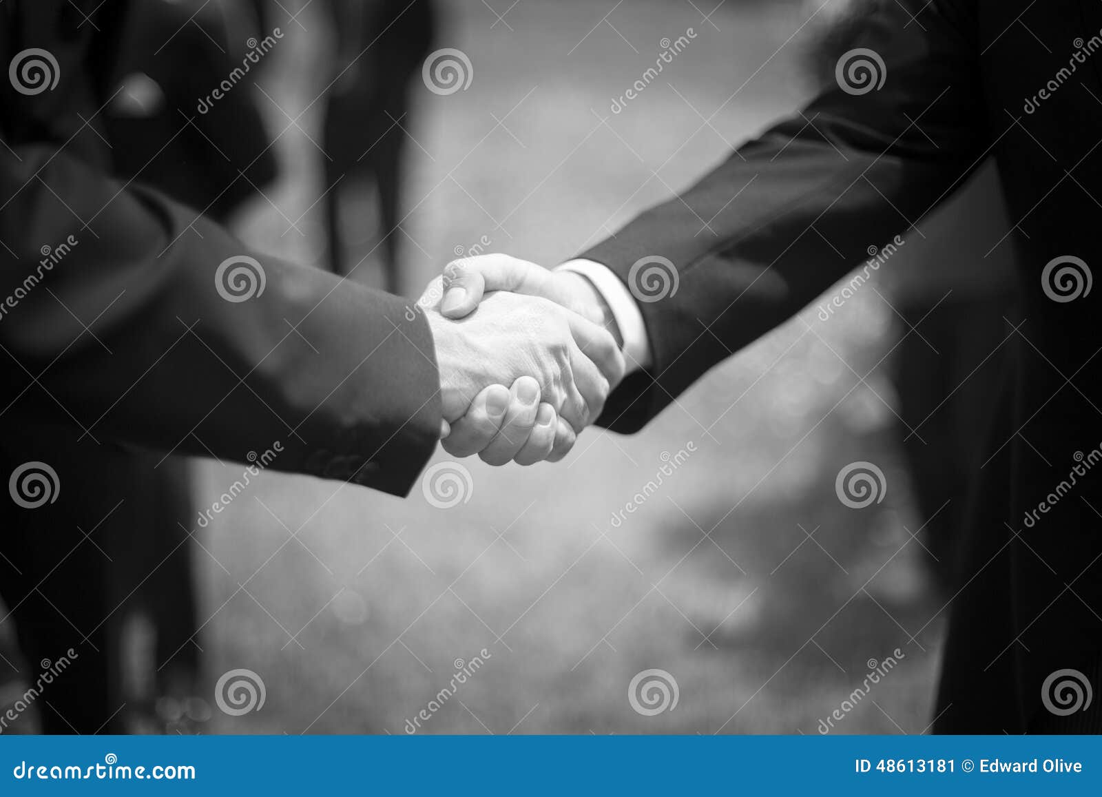 Men Shaking Hands in Wedding Reception Party Stock Image - Image of ...