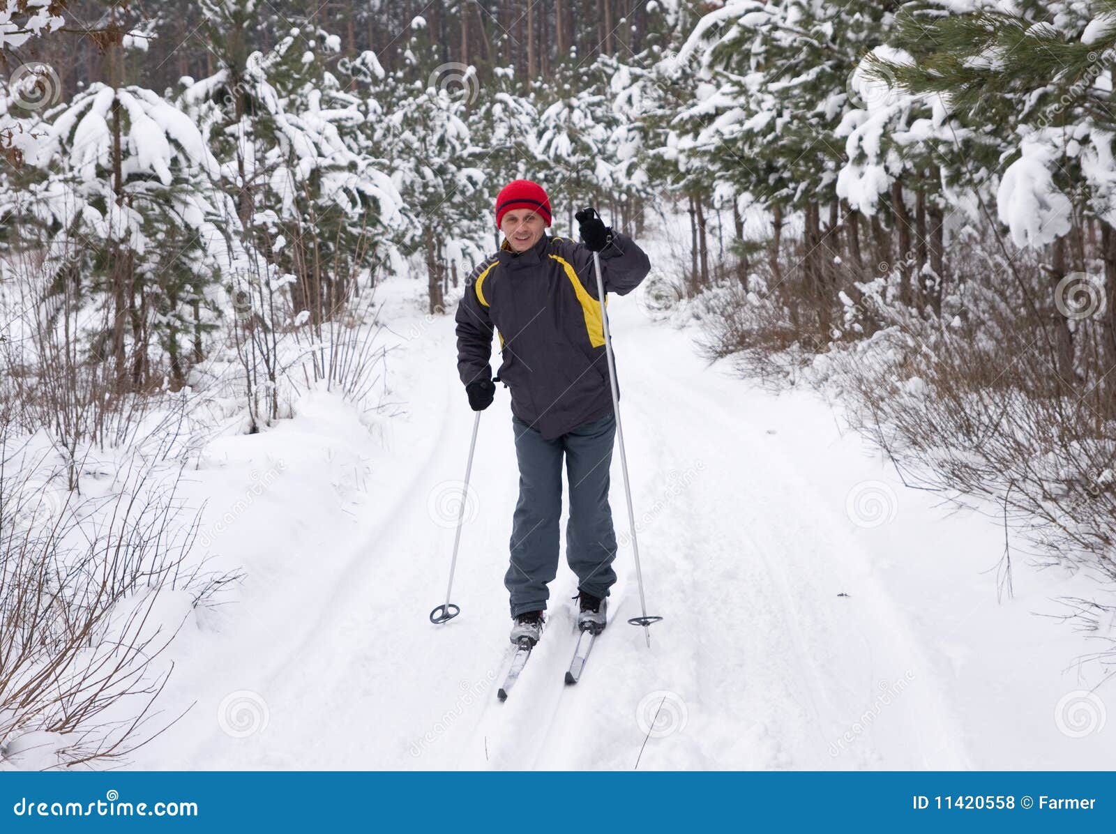 Men skiing stock photo. Image of healthy, health, adult - 11420558