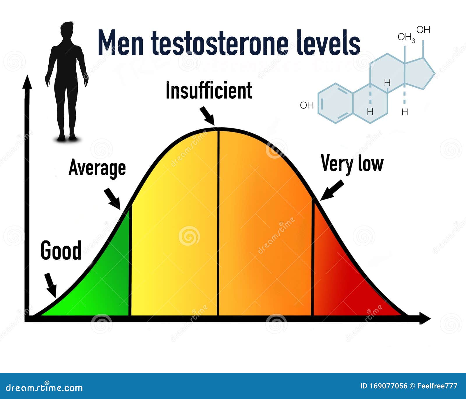 Men Testosterone Performance Scale, Educational Sheet Stock Photo ...