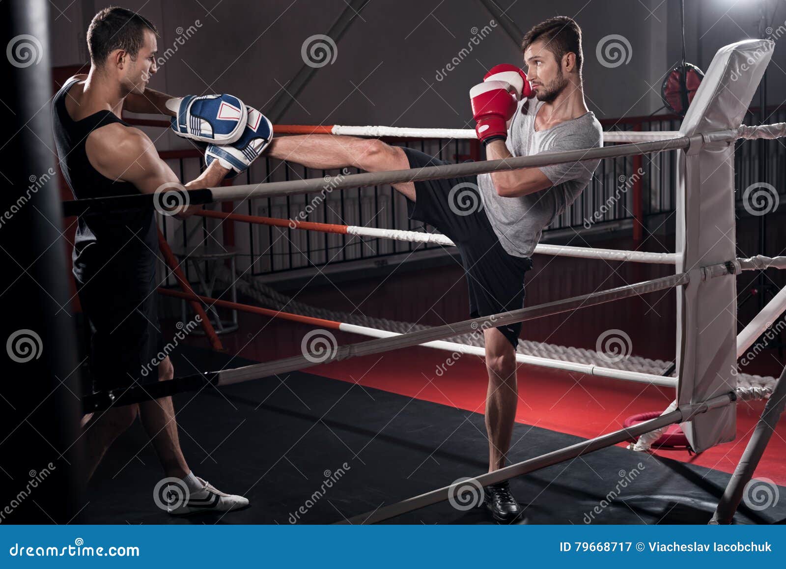Men Training Kick Boxing Hook Stock Image - Image of pose, muscular ...