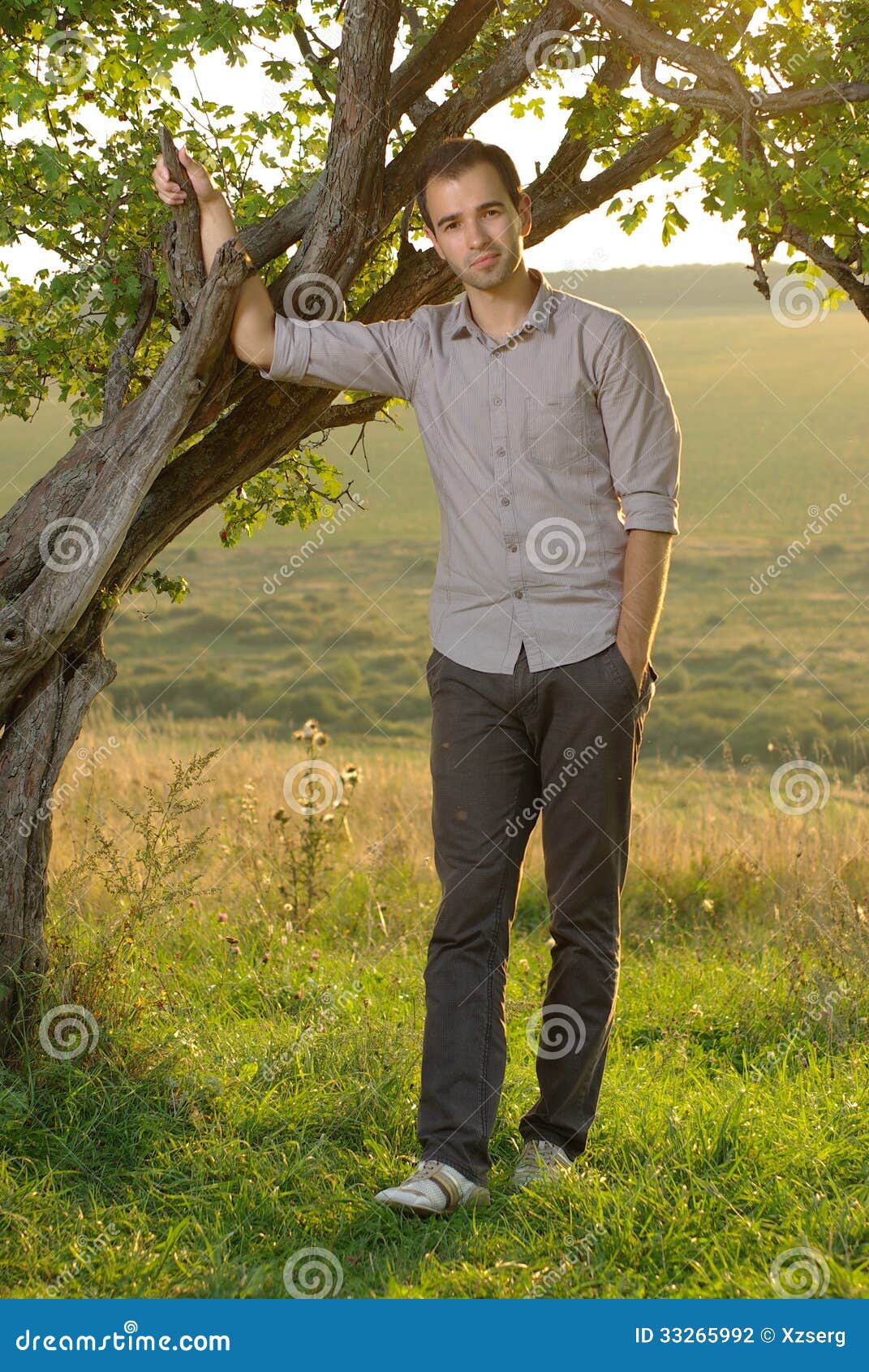Men under tree on field stock photo. Image of evening - 33265992
