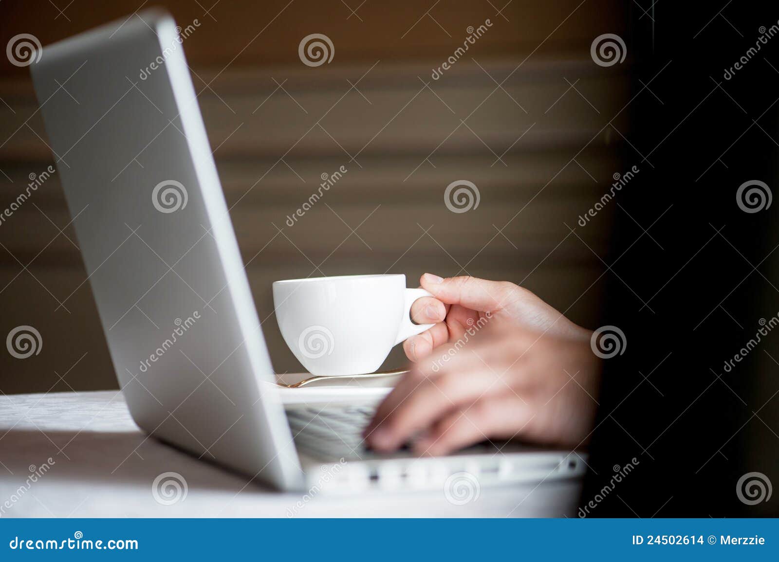 Men using laptop stock photo. Image of party, male, drinks - 24502614