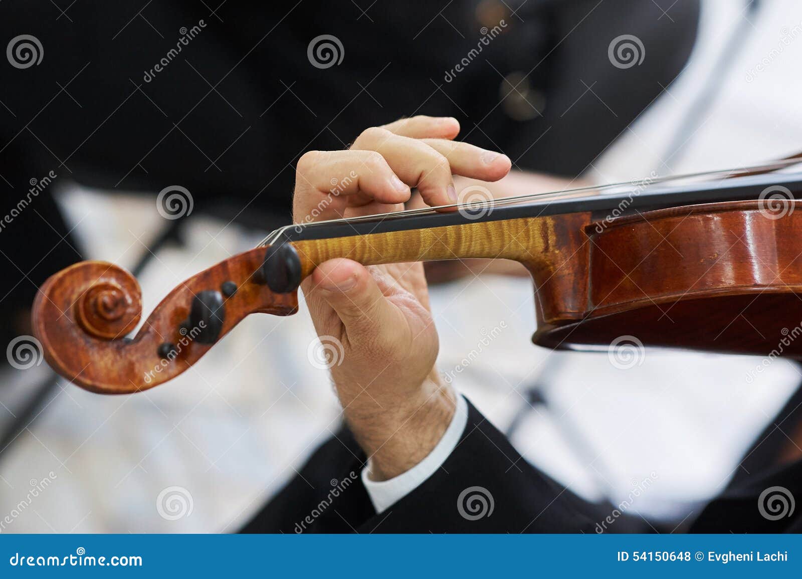 Men Violinist Playing Classical Violin Stock Photo - Image of chamber ...
