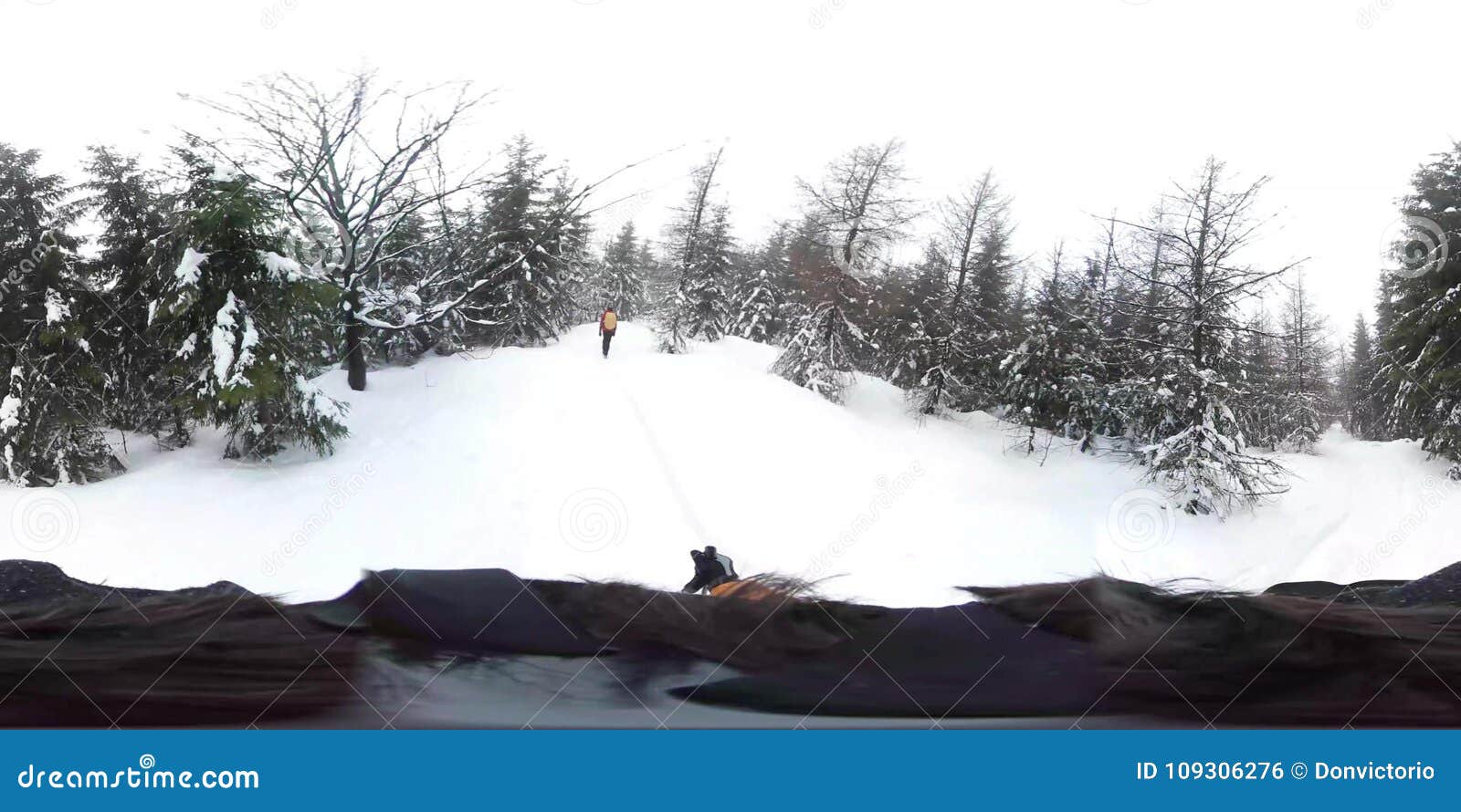 Men Walking in Deep Winter Forest - 360 Virtual Reality First Person ...