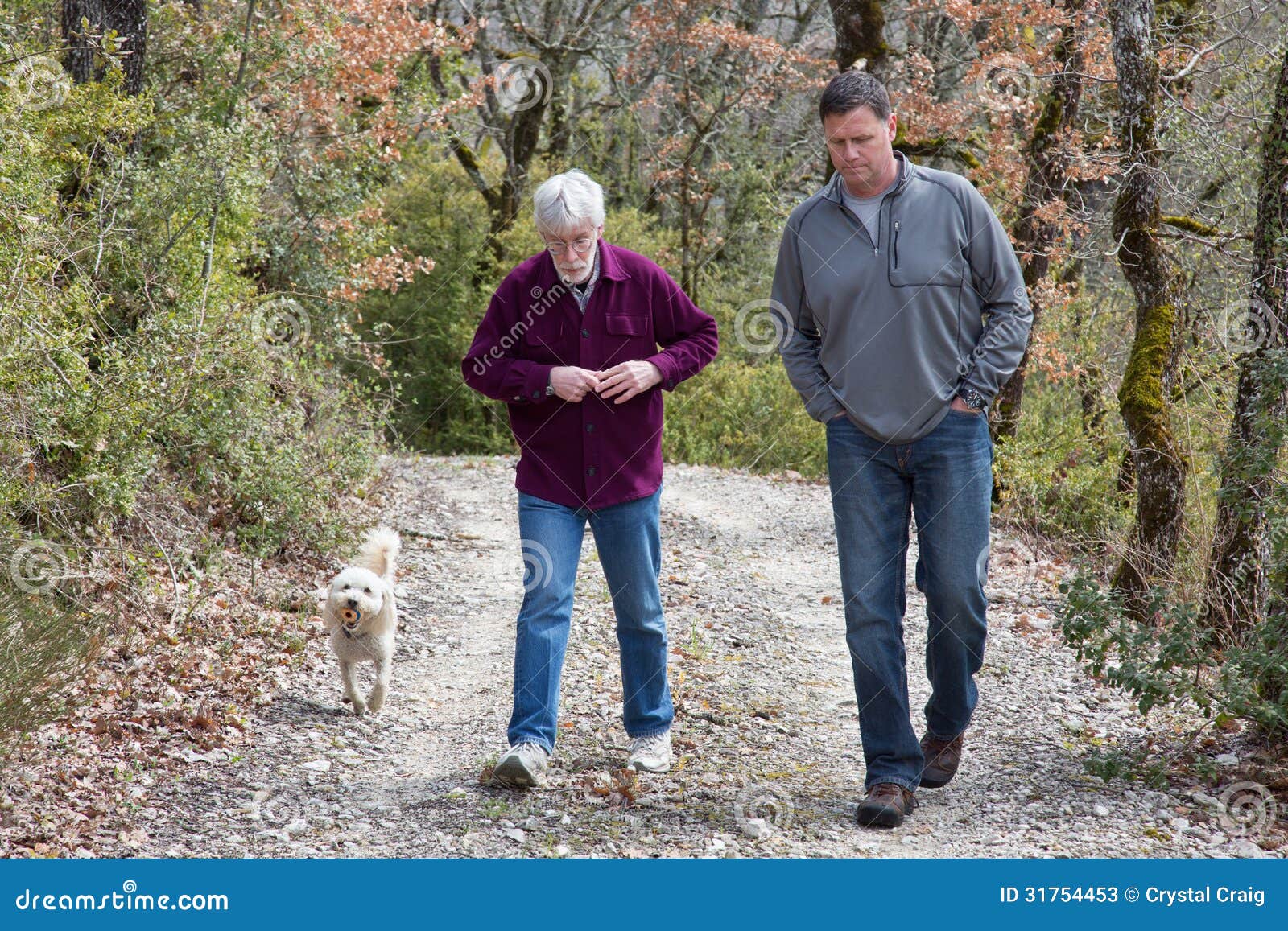 Men walking and talking stock image. Image of discussion - 31754453