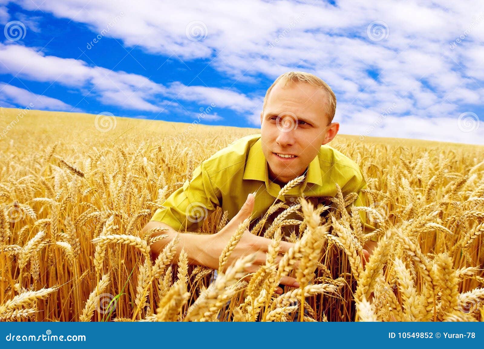 Men in wheat field stock photo. Image of gold, nature - 10549852