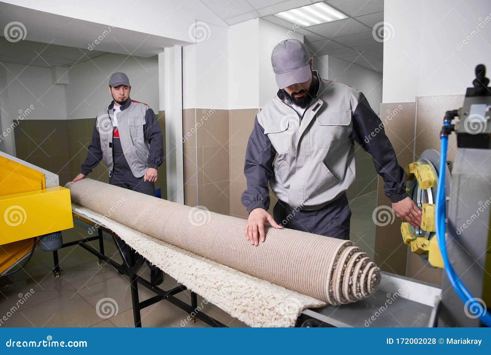 Men Workers Get Carpet from an Automatic Washing Machine and Put in in ...