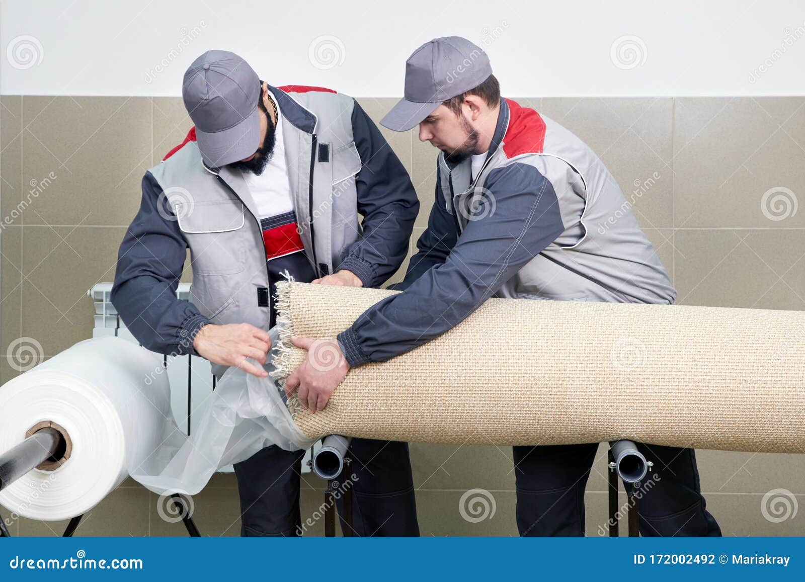 Men Workers Packing Carpet in a Plastic Bag after Cleaning it in ...