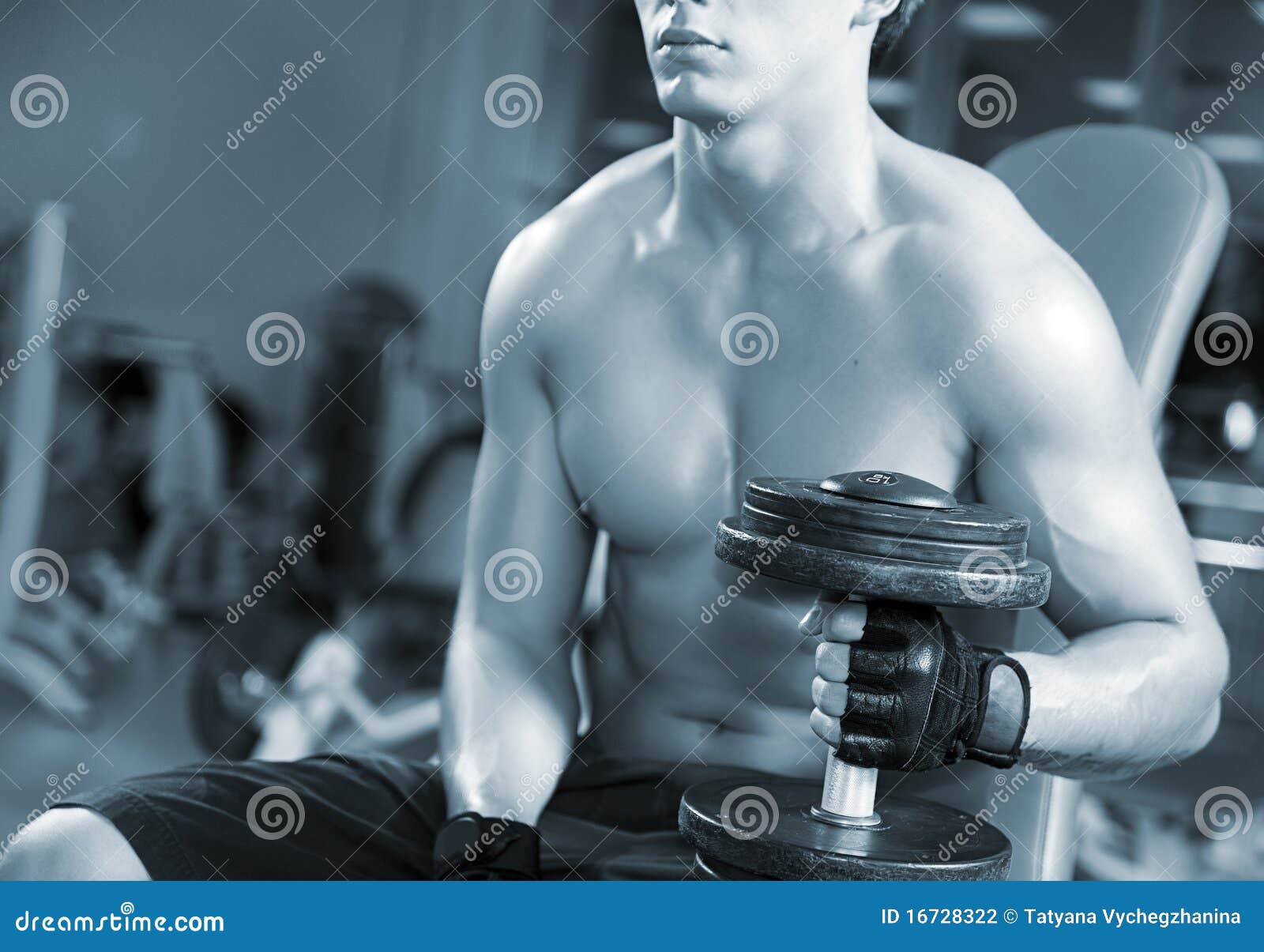 Men working out in a gym stock photo. Image of individuality - 16728322