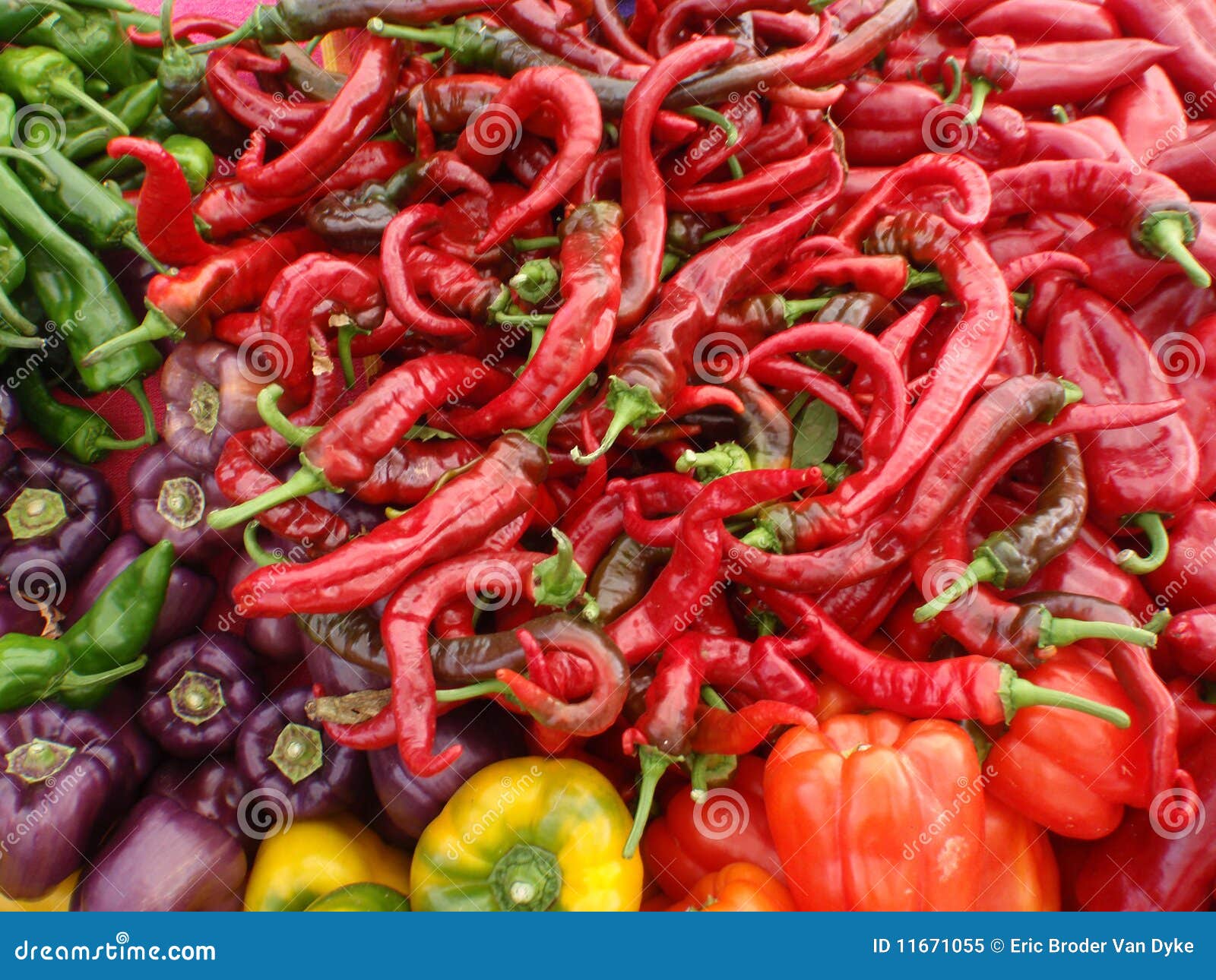 Mengeling Van Kleuren En Types Van Peper Stock Afbeelding - Image of ...