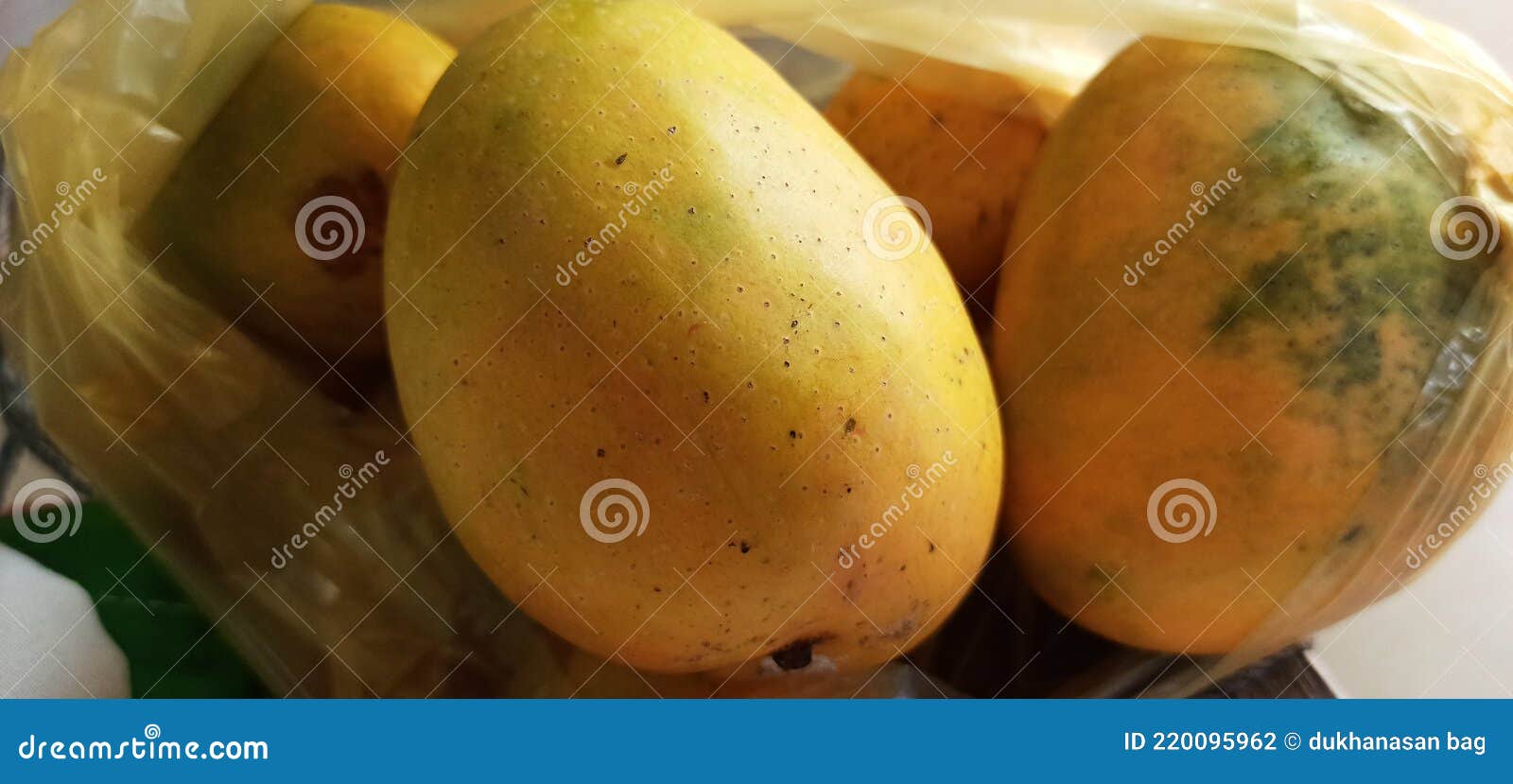 Mengo pic in plastic bag stock photo. Image of plant - 220095962