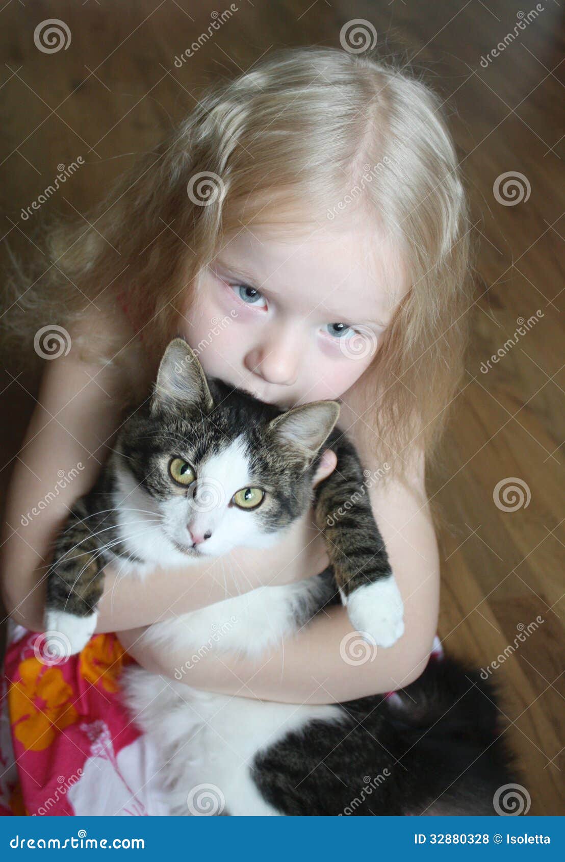 Menina com gato foto de stock. Imagem de cuidado, lifestyles - 32880328