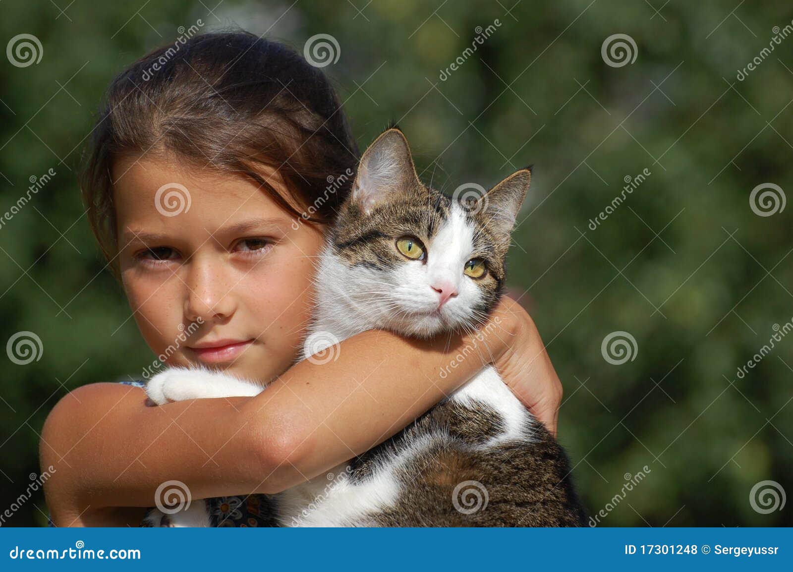 Menina com seu gato foto de stock. Imagem de passatempo - 17301248