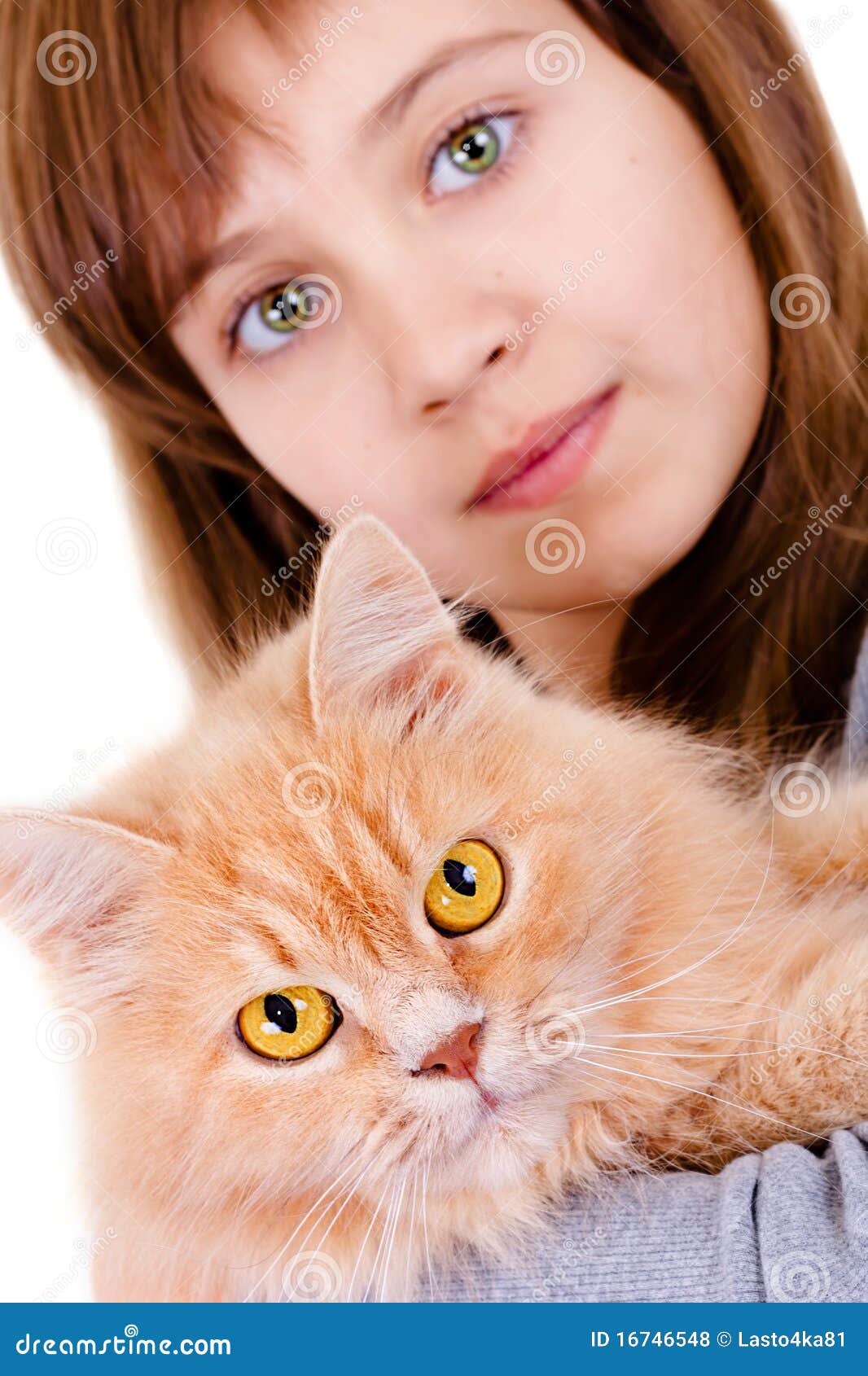 Menina com um gato foto de stock. Imagem de saudade, bonito - 16746548