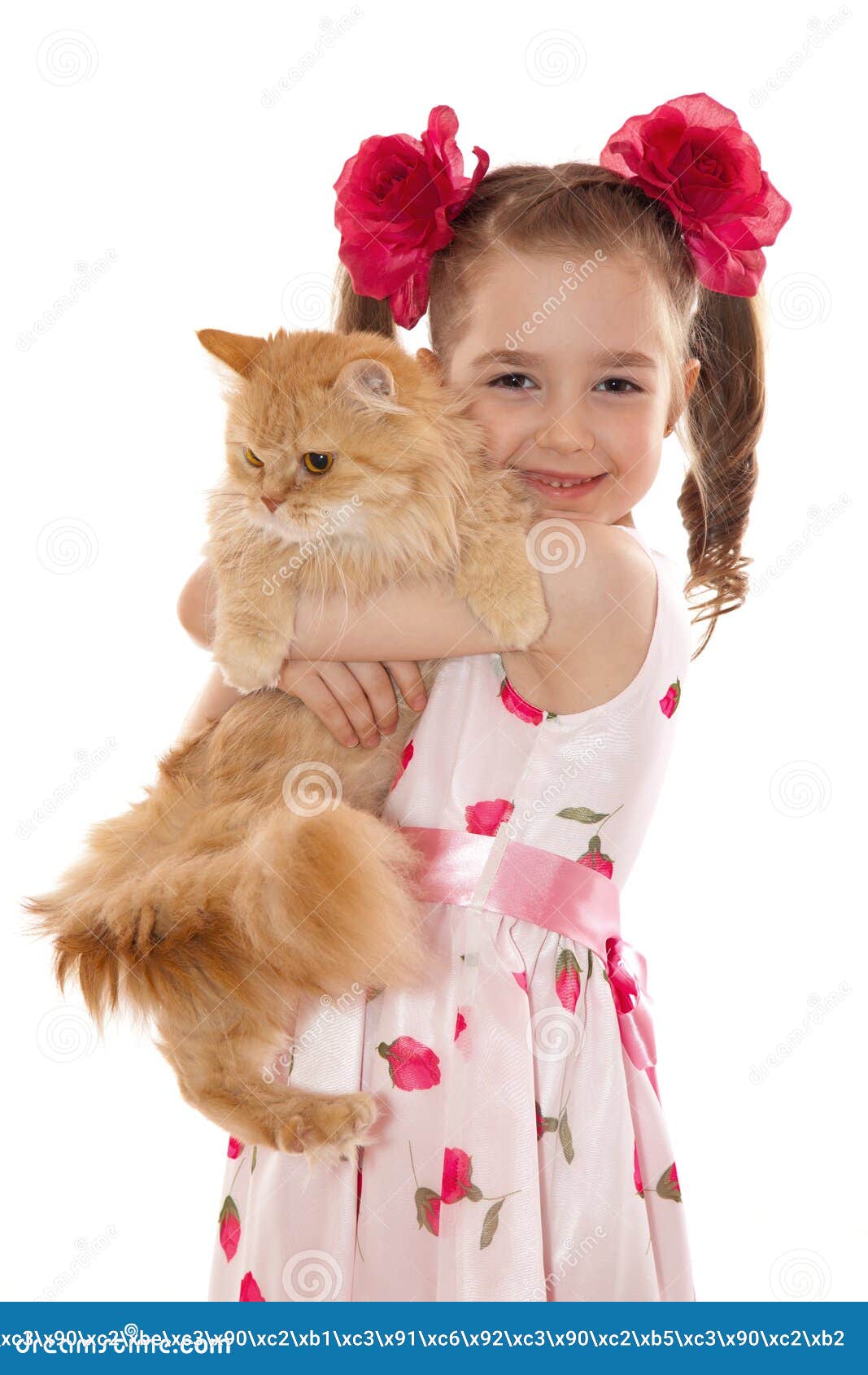 Menina com um gato foto de stock. Imagem de fêmea, charme - 30936096