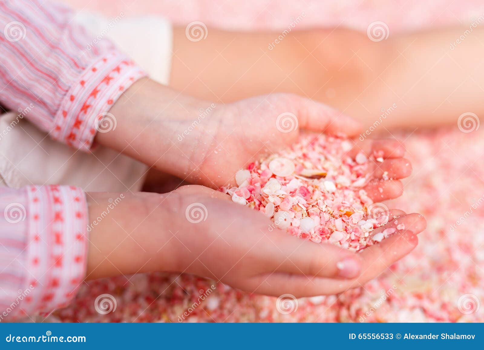 Menina Que Guarda Shell Cor-de-rosa Imagem de Stock - Imagem de macro ...