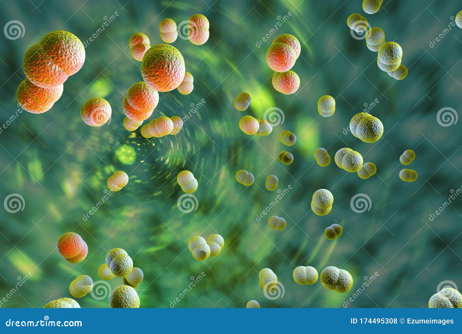 Meningitis Bacteria Infection 3D Illustration Stock Illustration ...