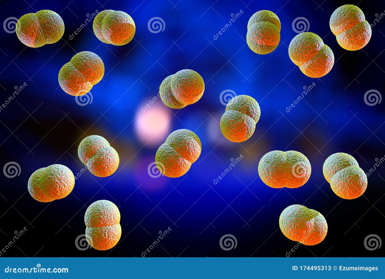 Meningitis Bacteria Infection 3D Illustration Stock Illustration ...