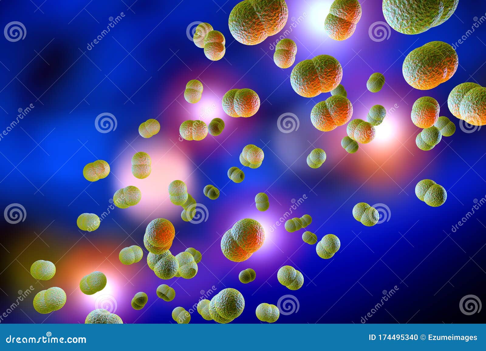 Meningitis Bacteria Infection 3D Illustration Stock Illustration ...