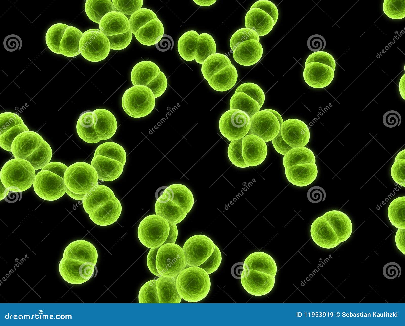 Meningococcus stock illustration. Illustration of microbiology - 11953919