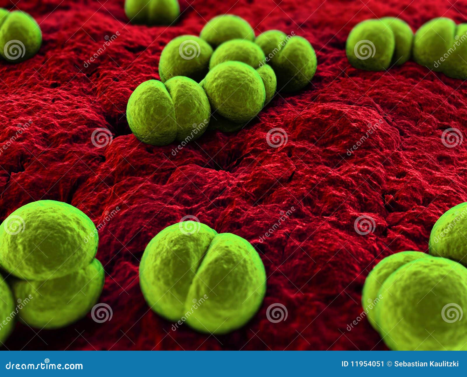 Meningococcus stock illustration. Illustration of science - 11954051