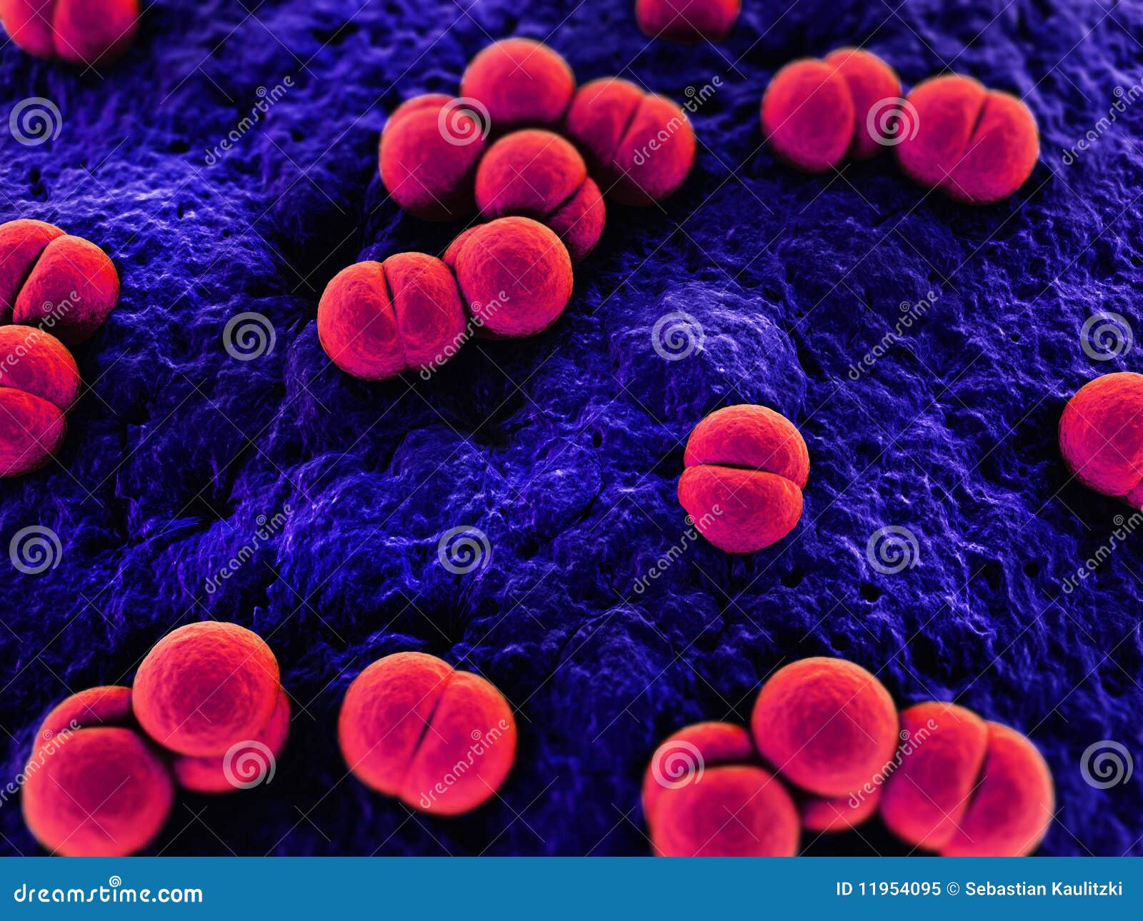 Meningococcus stock illustration. Illustration of medical - 11954095