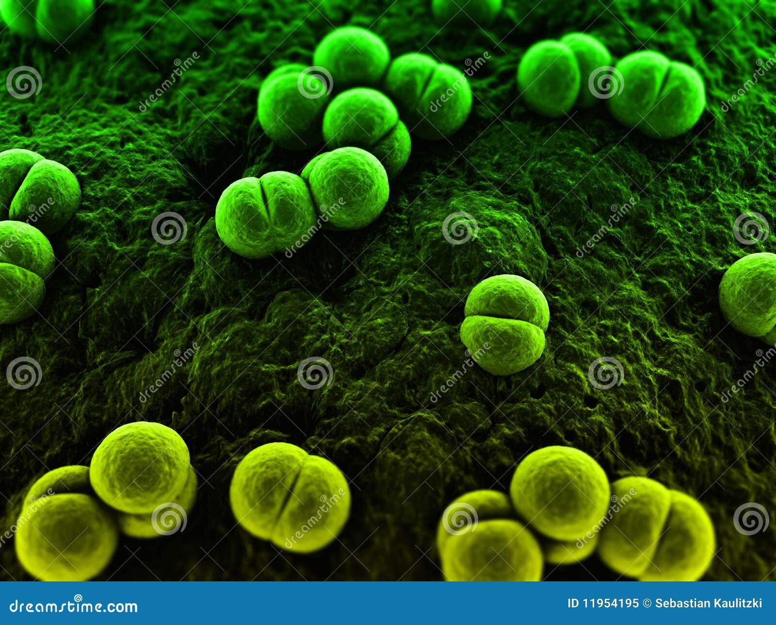 Meningococcus stock illustration. Illustration of green - 11954195