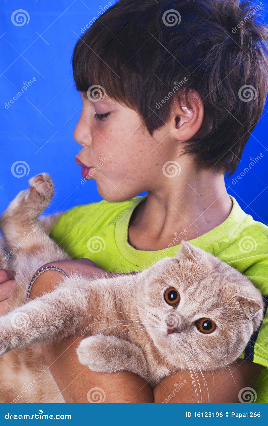 Menino com gato foto de stock. Imagem de pata, olho, sopro - 16123196