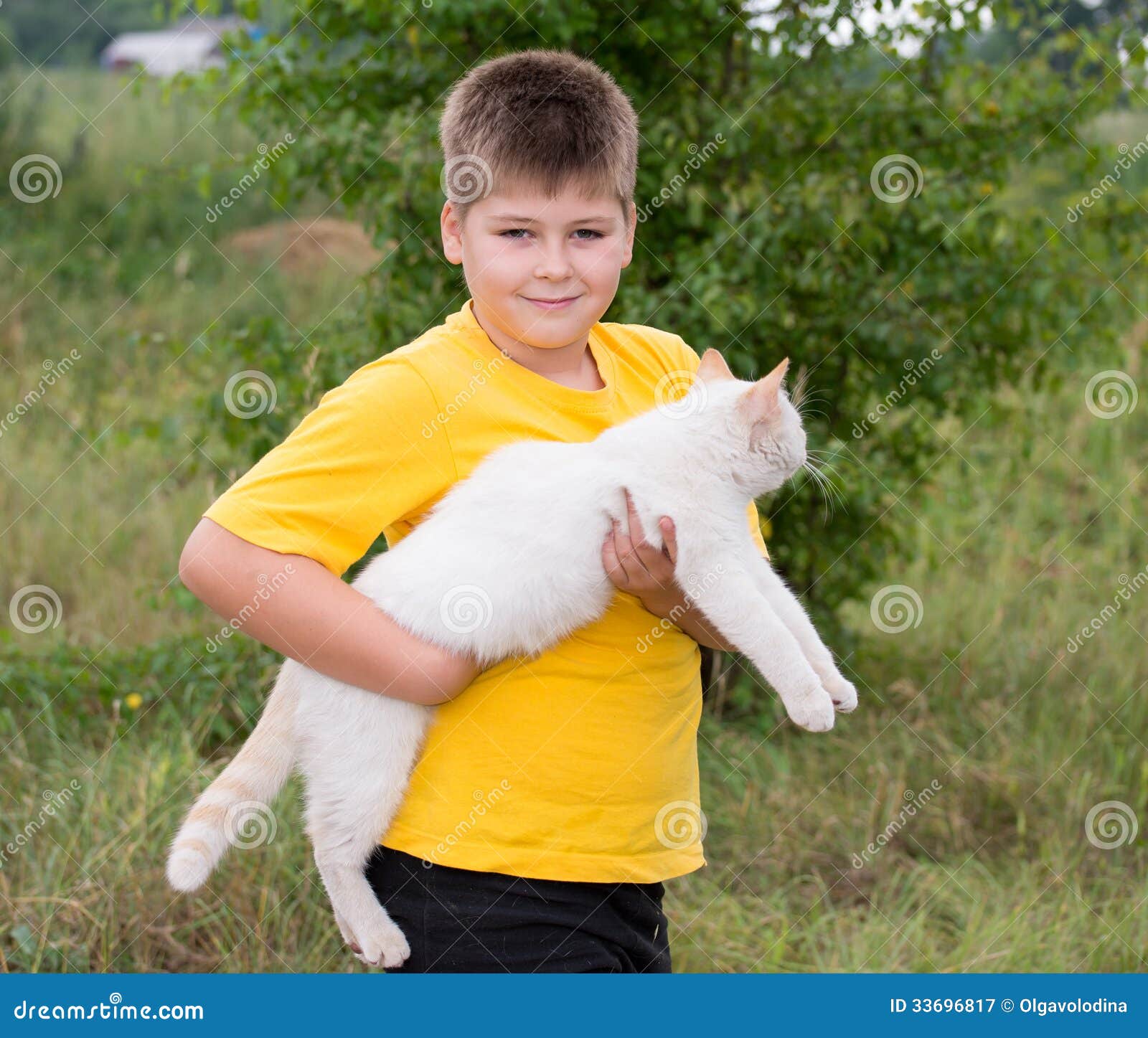 Menino com gato branco imagem de stock. Imagem de parque - 33696817