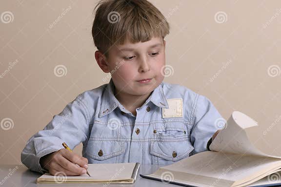 Menino estudioso imagem de stock. Imagem de leitura, aprendizagem - 29829