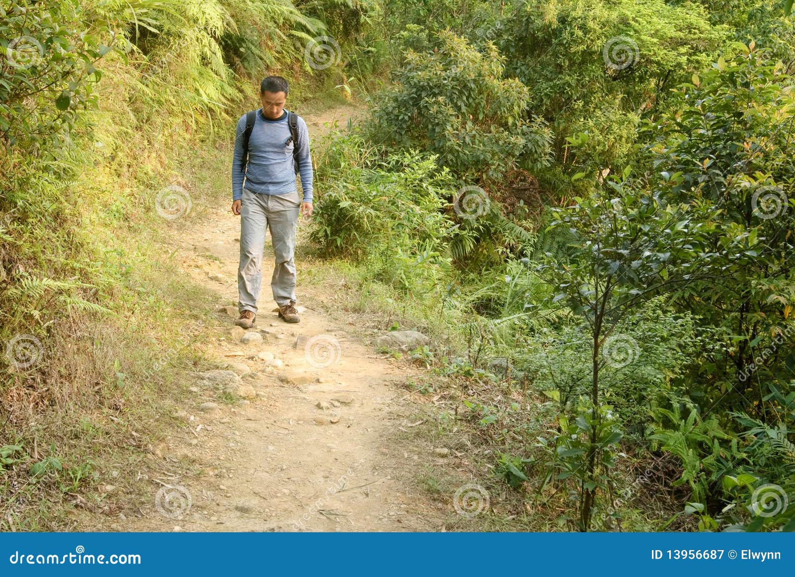 Mens die alleen loopt stock afbeelding. Image of landelijk - 13956687