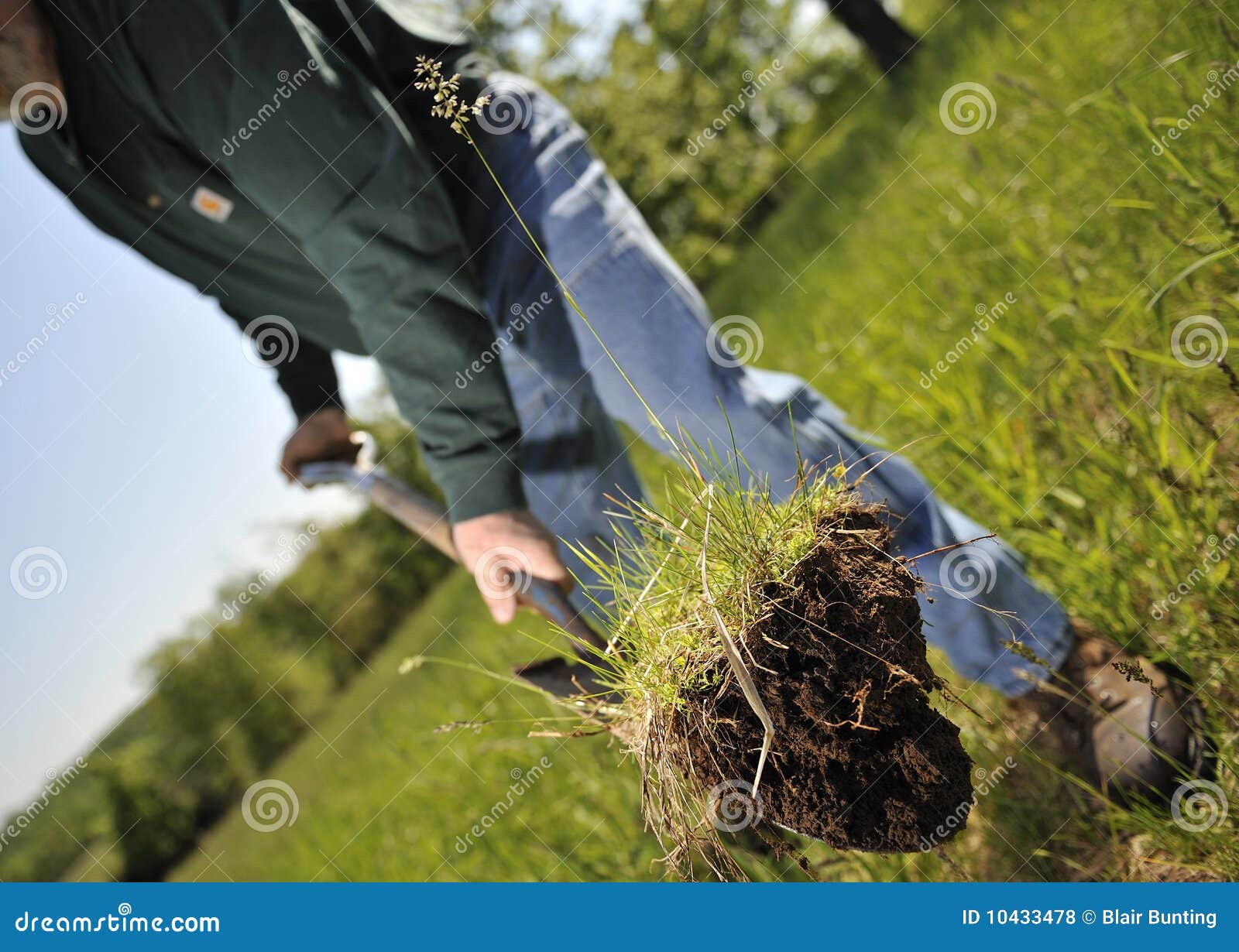Mens die boom plant stock foto. Image of tuinman, mens - 10433478