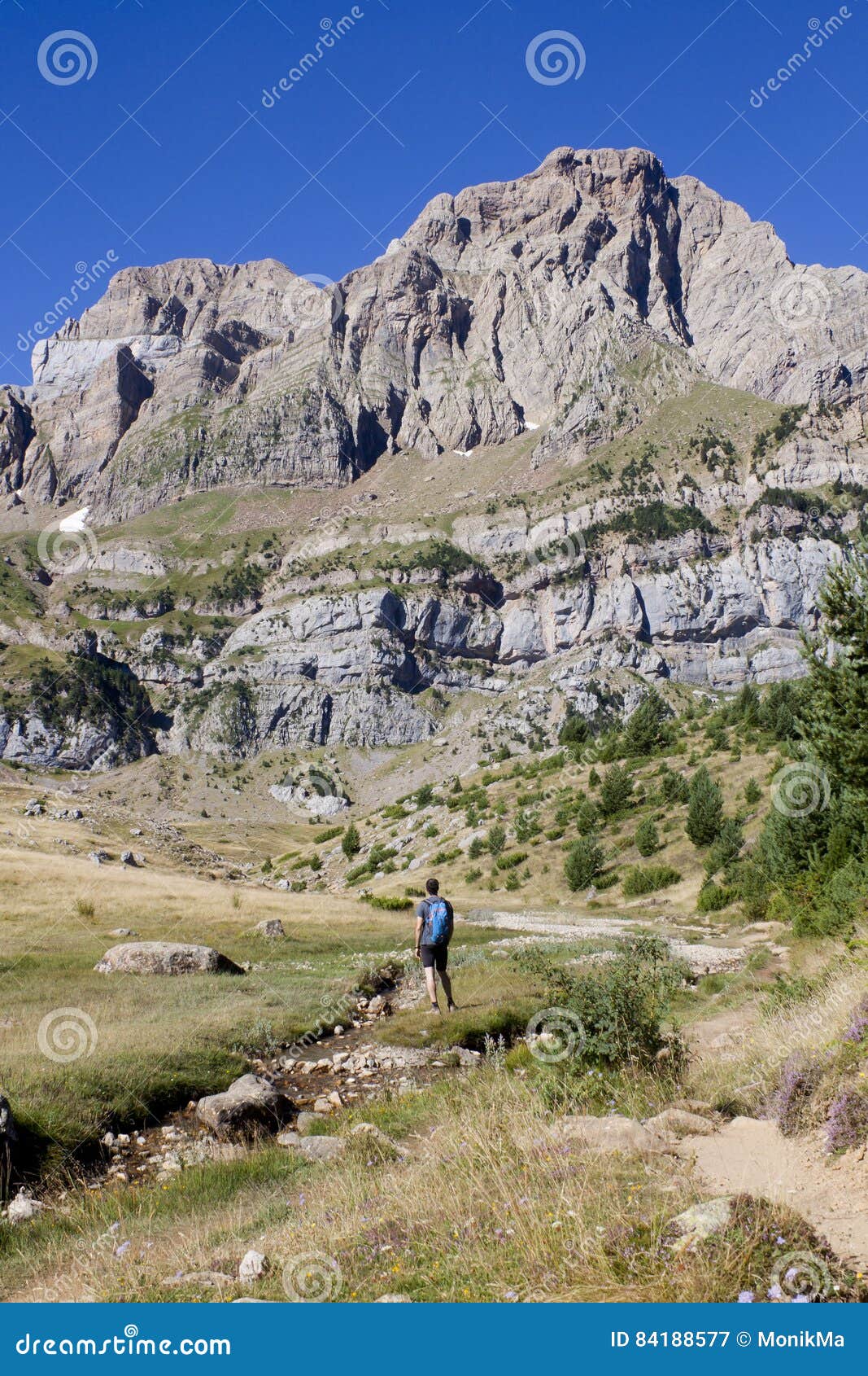 Mens Die De Piek in De Bergen Overwegen Stock Afbeelding - Image of ...