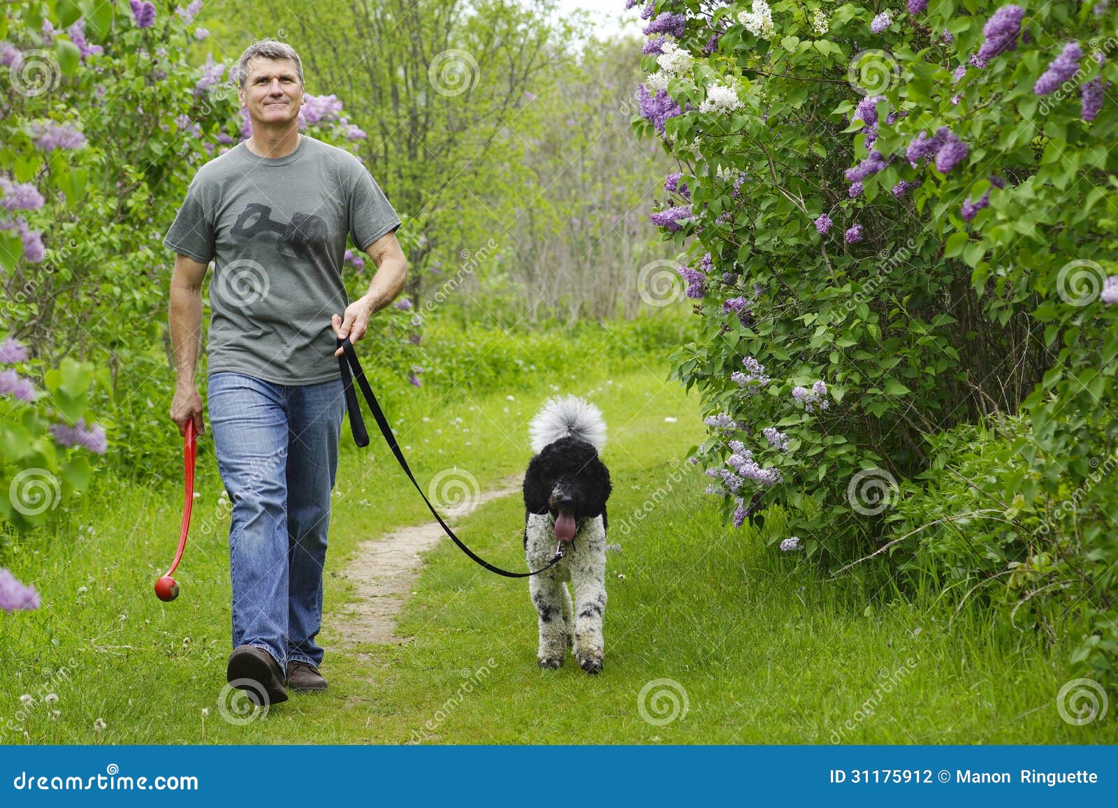 Mens Het Lopen Hond in Platteland Stock Foto - Image of bloem, mens ...