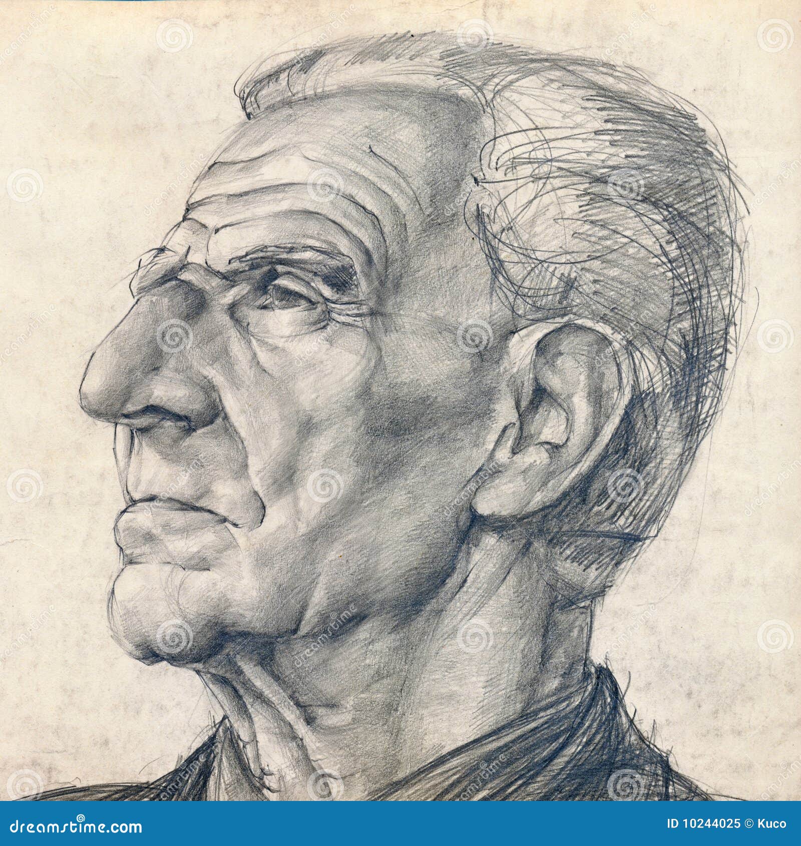 Mens met grote neus stock illustratie. Illustration of haar - 10244025