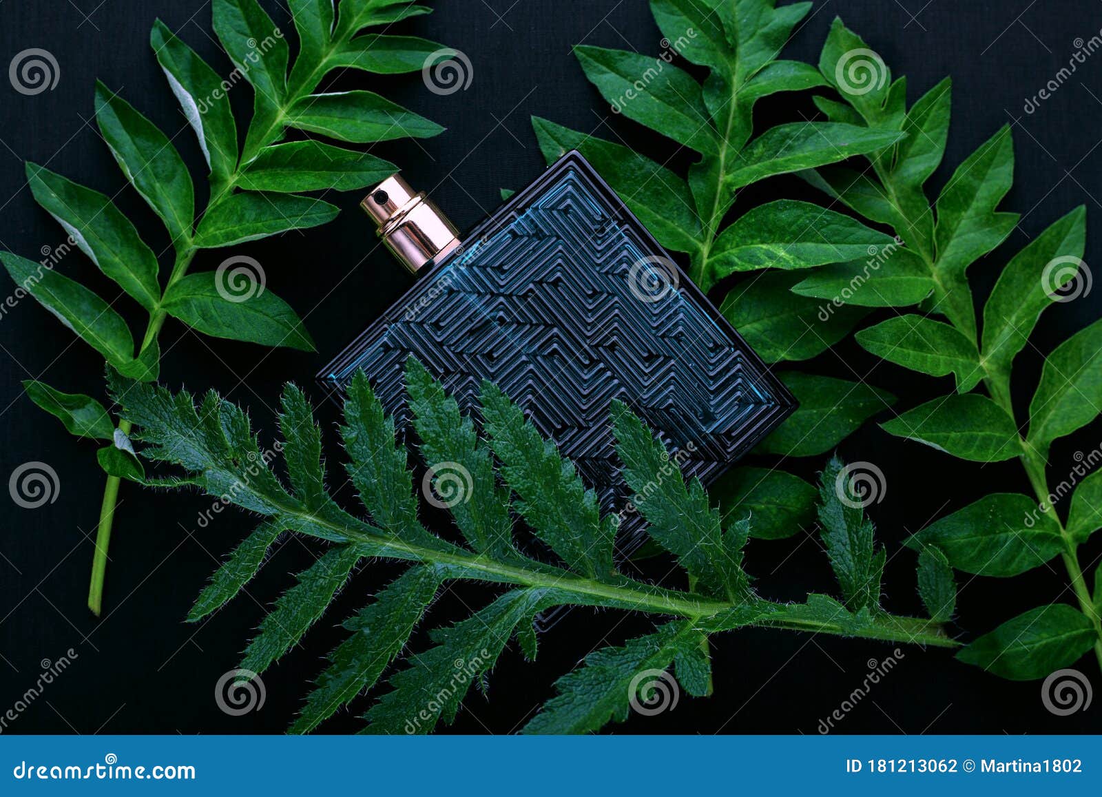 Mens Perfume with Green Leaves Stock Photo - Image of beauty, mens ...