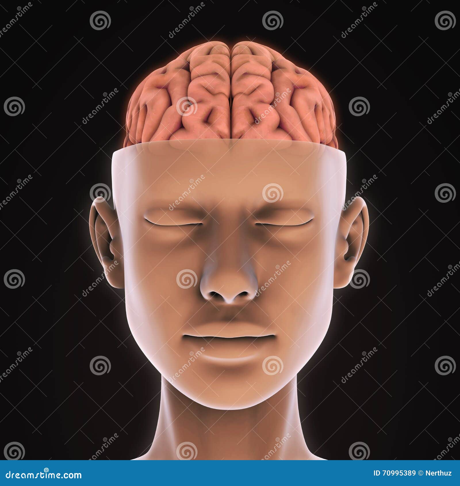 Mensch Brain Anatomy stock abbildung. Illustration von karosserie ... Mensch Brain Anatomy stock abbildung. Illustration von karosserie ...