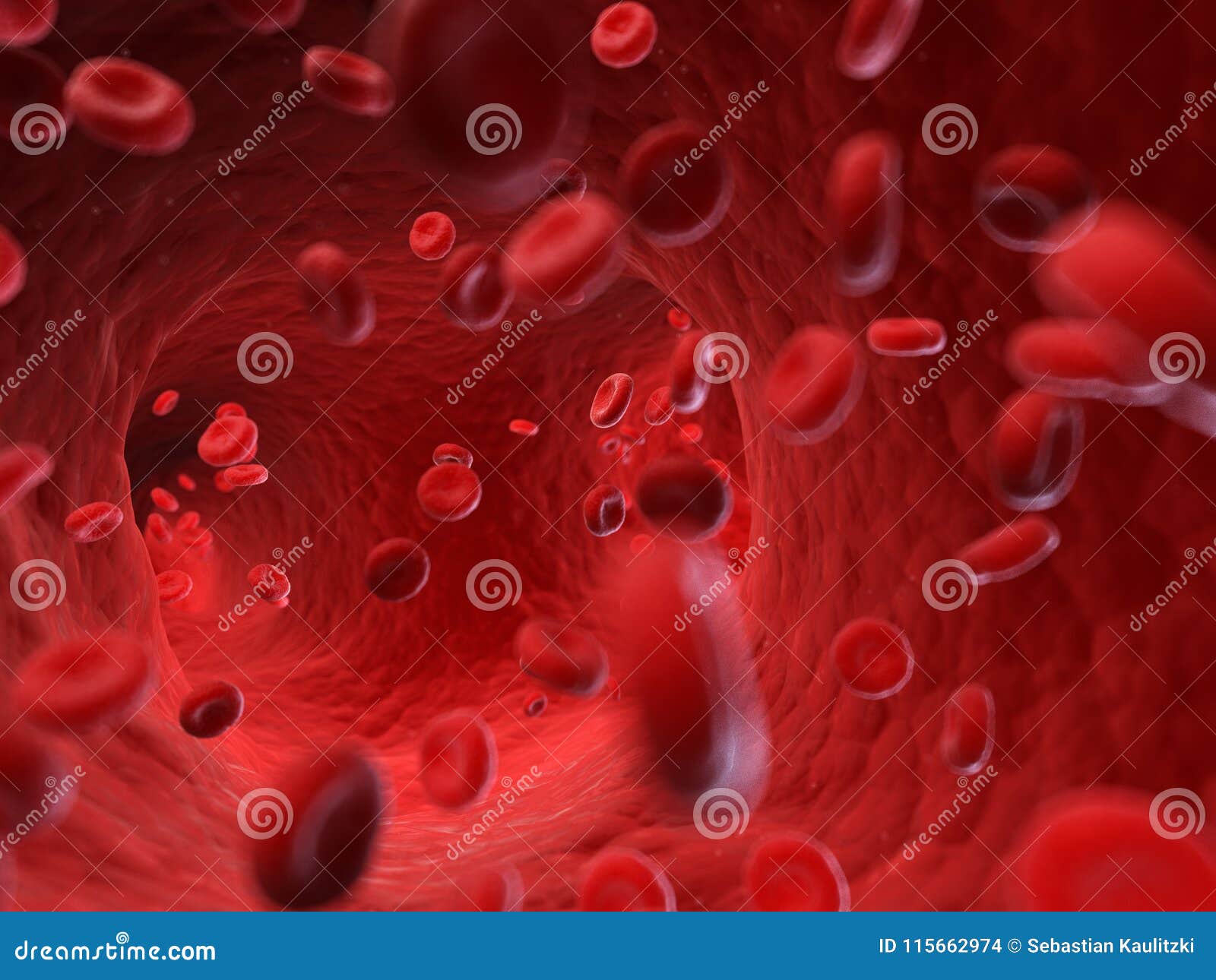 Menschliche Blutzellen stock abbildung. Illustration von ...