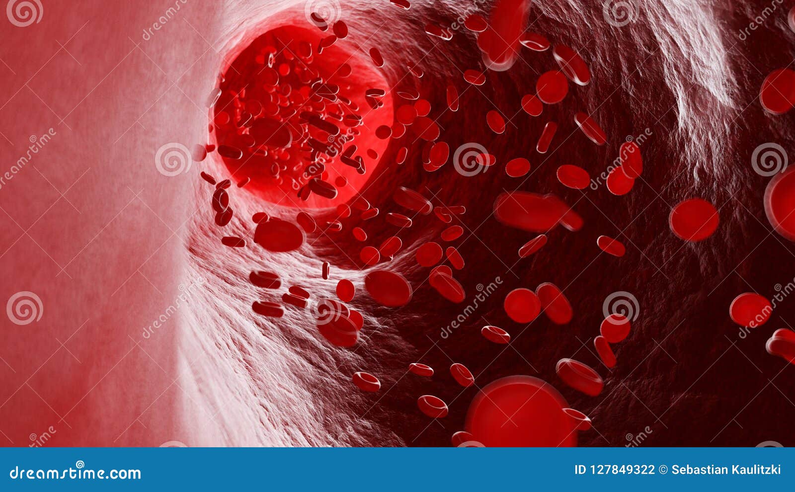 Menschliche Blutzellen stock abbildung. Illustration von hämoglobin ...