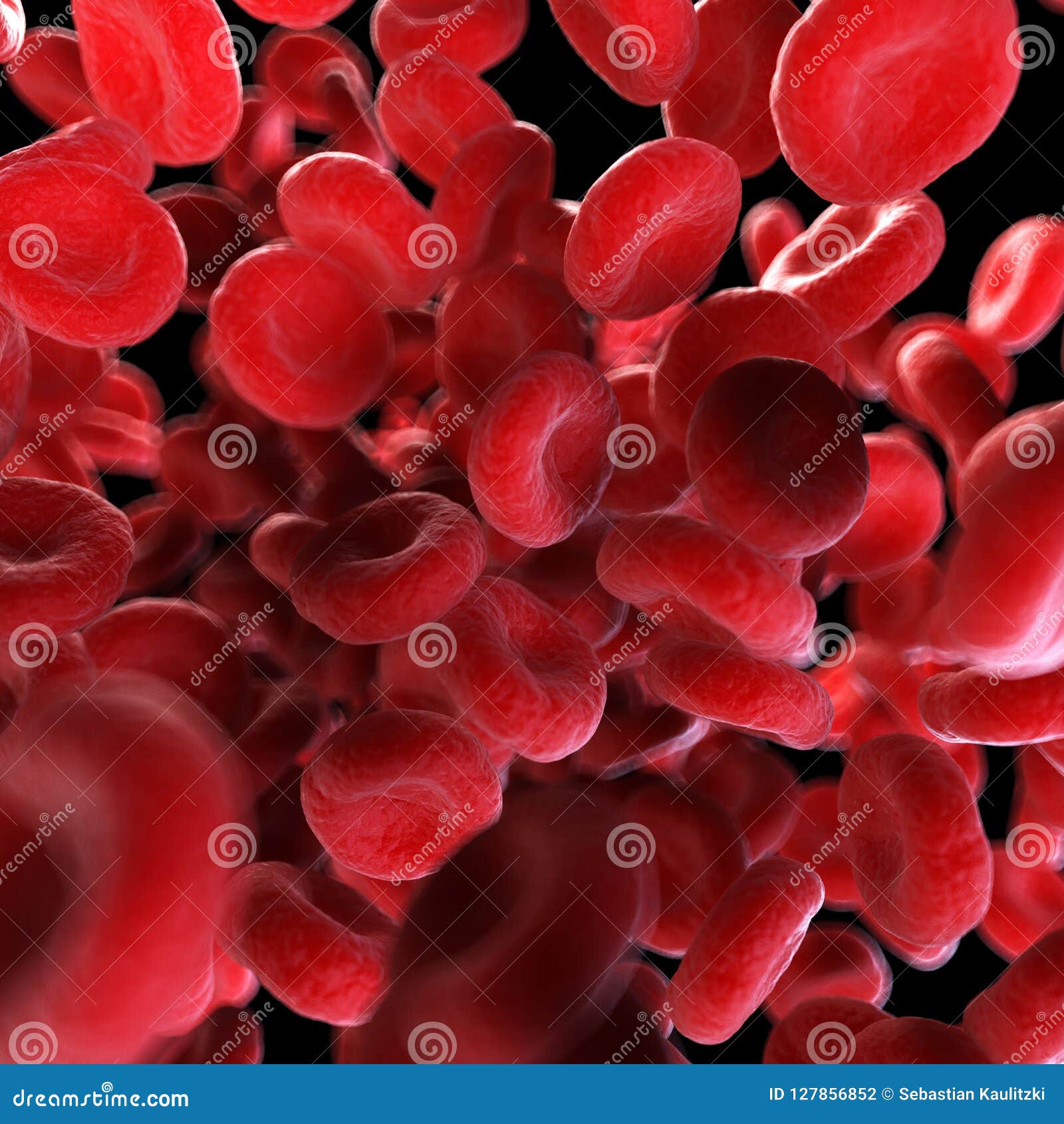 Menschliche Blutzellen stock abbildung. Illustration von hämoglobin ...